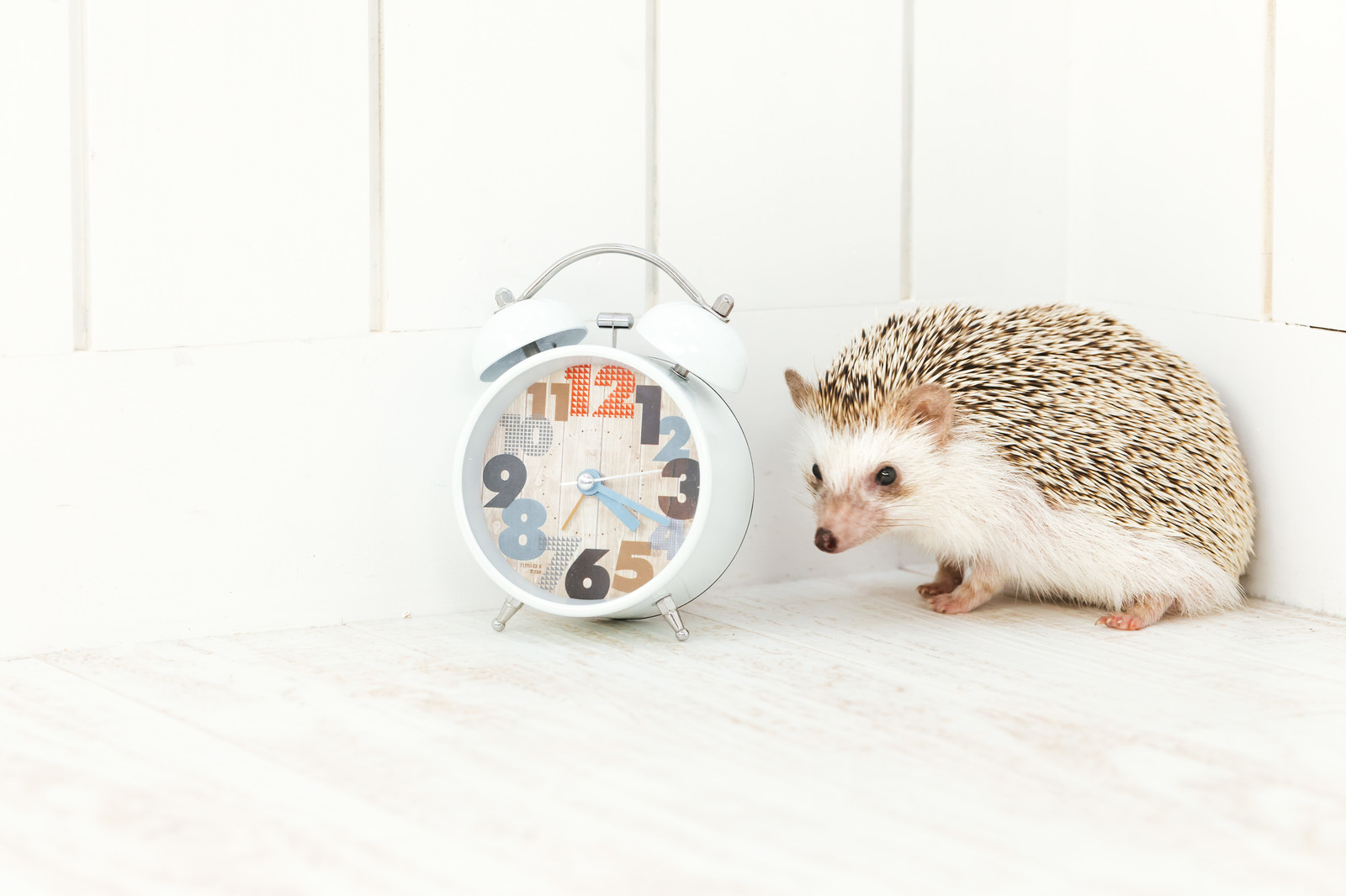 XSERVERがPHPバージョン7.3に対応！ WordPressの「サイトヘルス」100%を目指してサイトのスピードアップを！ | リーダーの独り言